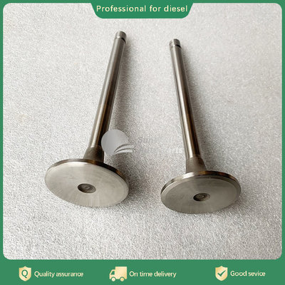 Good price engine Spare Part exhaust valve 3090469 for QSK19 supplier