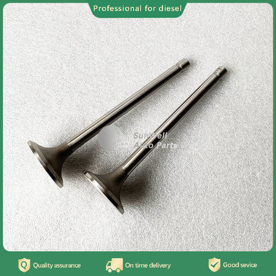 Factory supply Diesel engine QSK45 Exhaust Valve 4065481 3641541 2881811 supplier