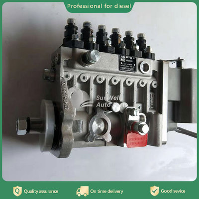 Electric Diesel Excavator Transfer 6Ct8.3 4994869 Fuel Injection Pump supplier