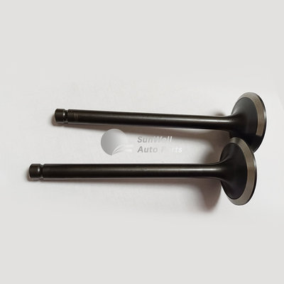 Diesel Excavator Machinery Engine Parts A2300 Intake Valve 4900337 supplier