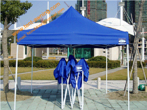 Rainproof 3x3m  Folding Display Tent  for Advertising Promotion Trade Show Canopy supplier