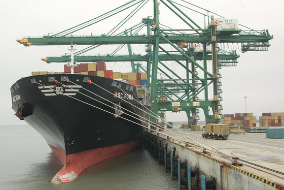 Tepic/Tijuana B.California/Xalapa/Veracruz/Cabo San Lucas/Leon/Nogales  LCL ocean FCL shipping logistics agent