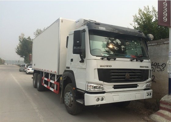 10 roues 6x4 ont frigorifié le poids de tare de la cabine 11000 de Howo 76 de camion de boîte