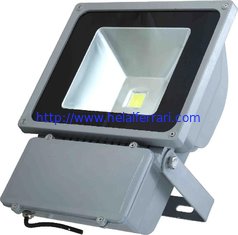 China IP65 50W High Power Waterproof LED Flood Light Outdoor Cool White supplier