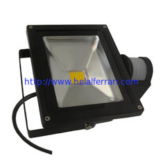 China 30W IP65 Pure White Waterproof LED Flood Light With sensor , Color Changing supplier