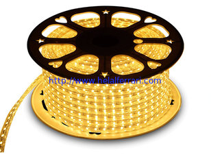 China Super Bright Ip67 Waterproof Flexible LED Strips Light For Amusement Park supplier