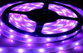 China High Brighteness SMD3528 IP68 waterproof Flexible LED Strip Light with FPC Long Life supplier