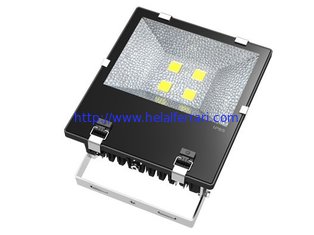 China High Efficiency Waterproof LED Flood Light High Shock / Vibration Resistant supplier