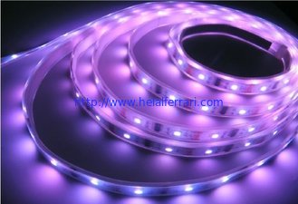 China 50000 Hours 24V Flexible LED Strip Light , Non-Waterproof SMD 5050 LED Chip supplier