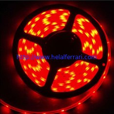 China SMD 3528 24V Flexible LED Strip Light , Non-WaterProof Ip20 in 120leds/m supplier