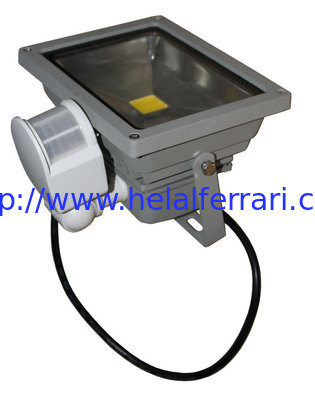 10Watt Waterproof LED Flood Light with Sensor For Clubs , Hotels supplier