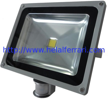 30W IP65 Pure White Waterproof LED Flood Light With sensor , Color Changing supplier