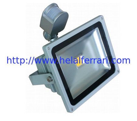 50 W High Power Waterproof LED Flood Light with Sensor use in outdoor supplier