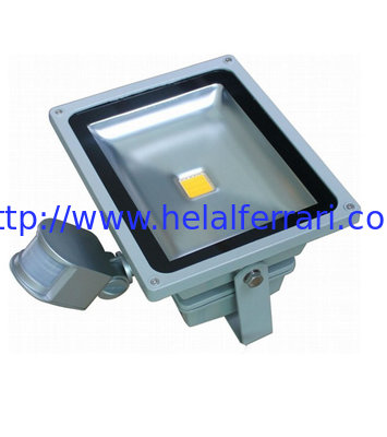 50 W High Power Waterproof LED Flood Light with Sensor use in outdoor supplier
