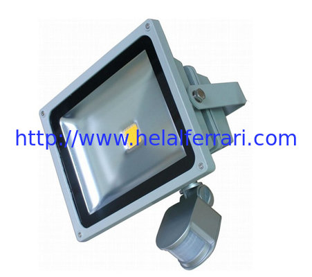 50 W High Power Waterproof LED Flood Light with Sensor use in outdoor supplier