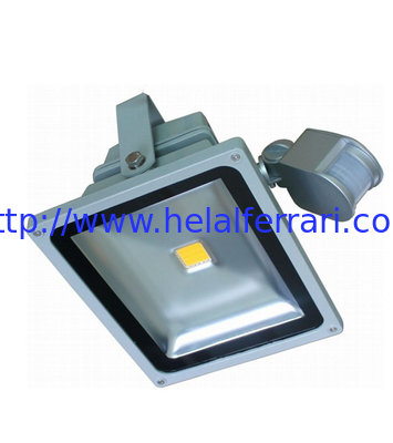 50 W High Power Waterproof LED Flood Light with Sensor use in outdoor supplier