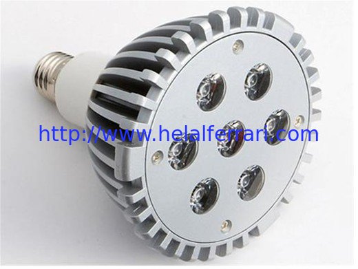 Eco Friendly Indoor Epistar PAR30 7Watt led replacement bulbs supplier