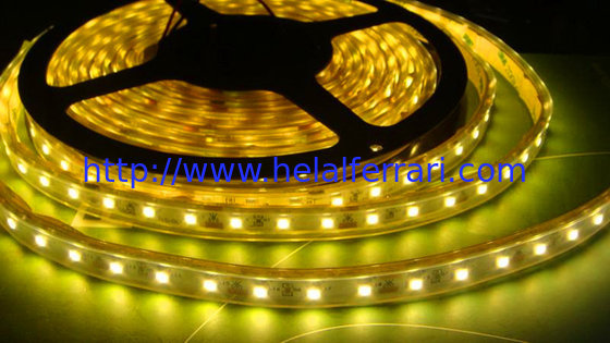 Ip68 12V/24V Colored Flexible Waterproof LED Strip SMD 5050 60leds/m For Walkway Lighting supplier