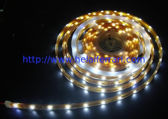 5m Warm White / White Flexible LED Strip Light in SMD5050 30leds/m With CE & ROHS supplier