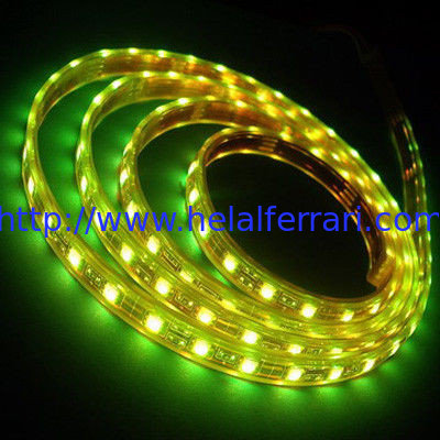 5m Warm White / White Flexible LED Strip Light in SMD5050 30leds/m With CE & ROHS supplier