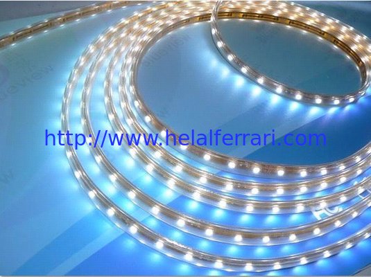 Super Bright Ip67 Waterproof Flexible LED Strips Light For Amusement Park supplier