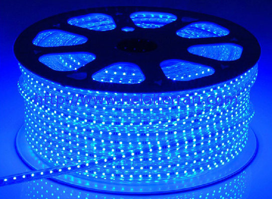 Super Bright Ip67 Waterproof Flexible LED Strips Light For Amusement Park supplier
