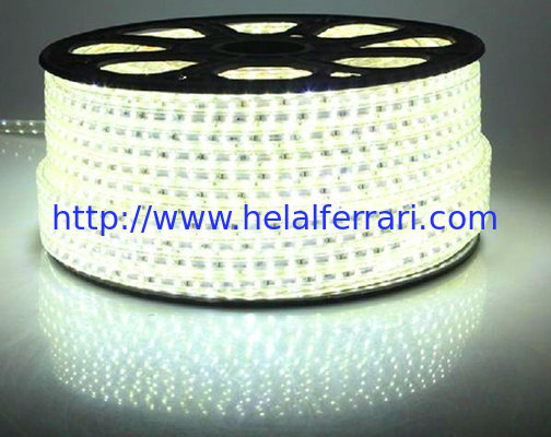 SMD5050 30leds/m 12 V Flexible LED Strip Lights in Ip68 Waterproof with 5000hours lifetime supplier