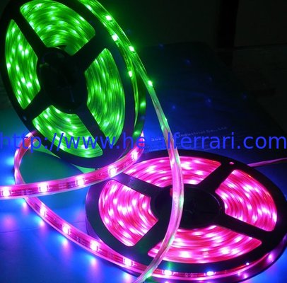 SMD 5050 12V Flexible LED Strip Light in ip20 Non - Water Proof  for indoor use supplier