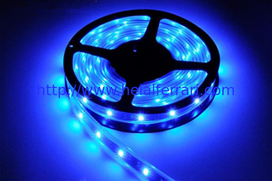 SMD 5050 12V Flexible LED Strip Light in ip20 Non - Water Proof  for indoor use supplier