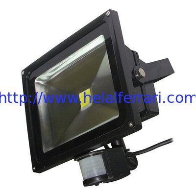 30W Waterproof LED Flood Light 5000lm - 5500lm Sensor With Aluminum Out Shell supplier