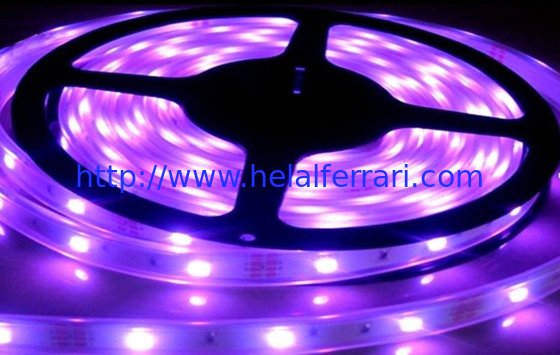 2835 120leds/m DC12/24V Flexible LED Strip Light with 3 years warranty in IP20 non-waterproof supplier