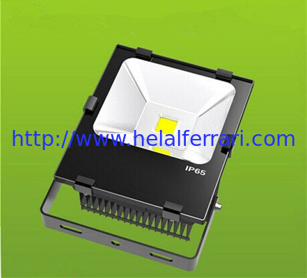 100W High Power Super bright Epistar Waterproof LED Flood Light for park lighting supplier