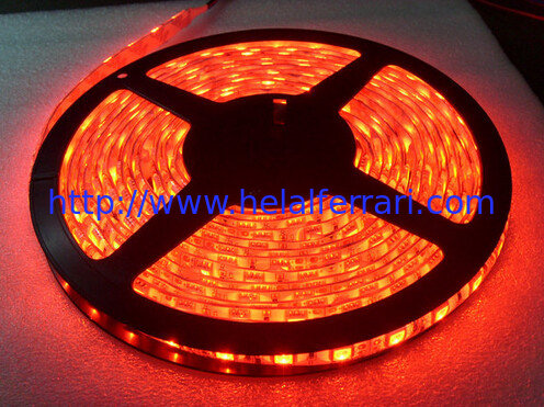 Ip67 DC12/24V high lumen Flexible LED Strip Light with Red,blue,Green,White and warm white color supplier