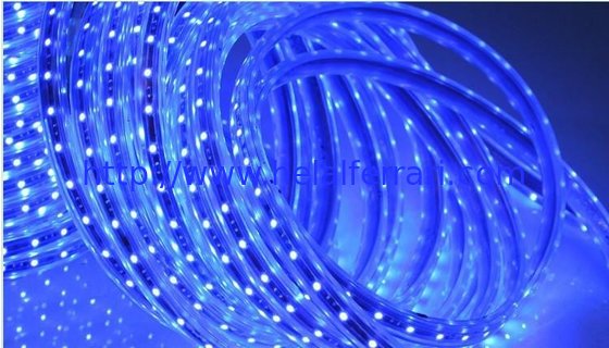 Ip67 DC12/24V high lumen Flexible LED Strip Light with Red,blue,Green,White and warm white color supplier
