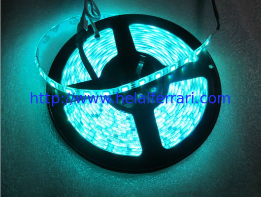 SMD 3528 24V Flexible LED Strip Light , Non-WaterProof Ip20 in 120leds/m supplier