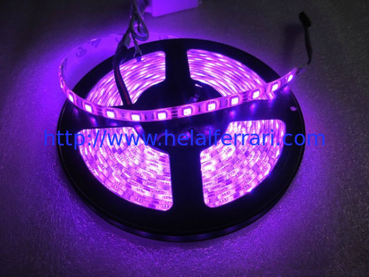 SMD 3528 24V Flexible LED Strip Light , Non-WaterProof Ip20 in 120leds/m supplier