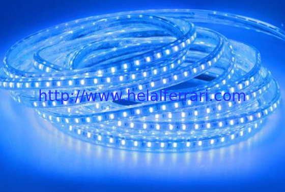 Waterproof IP68 Flexible LED Strip Light with DC12V in SMD5730 leds supplier