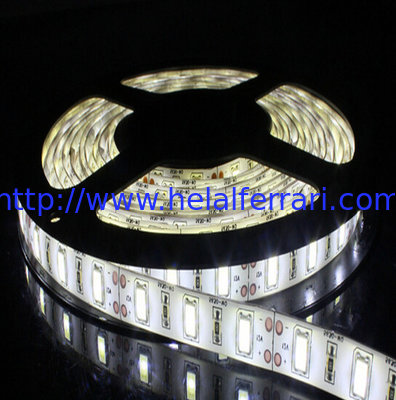 1000lm/m SMD5730 Flexible LED Strip Lights 12V in IP67 waterproof supplier