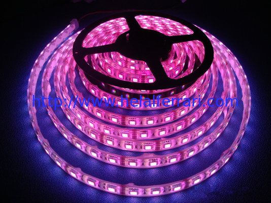 322 IP68 1000lm/m SMD5730 Flexible LED Strip Lights in 12V with White,Yellow,Black FPC supplier