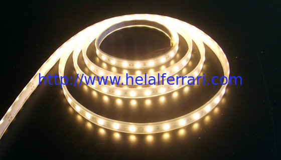 5m/roll 12V/24V Flexible LED Strip Light in SMD5050 30leds/m With CE & ROHS supplier