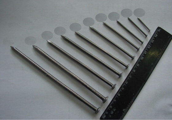good quality galvanized concrete nail for sale
