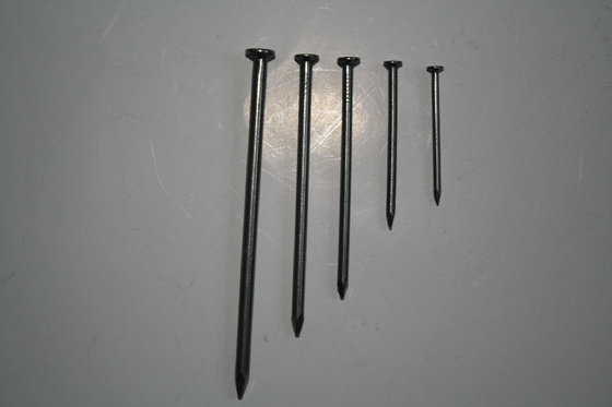 buliding material galvanized concrete nail for sale