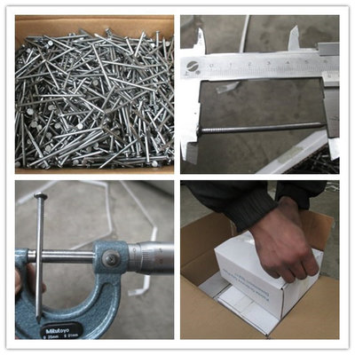 buliding material galvanized concrete nail for sale