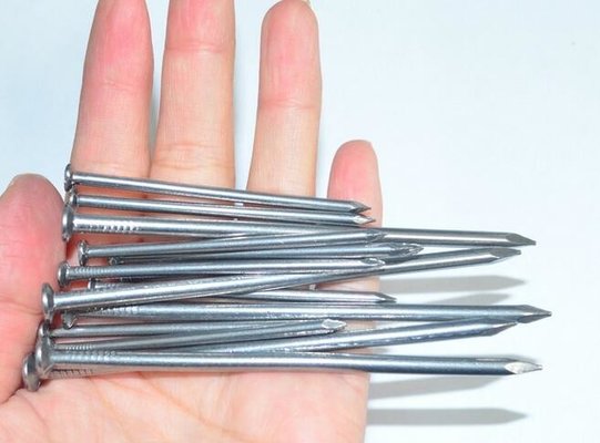 buliding material galvanized concrete nail for sale