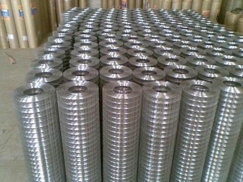 galvanized welded wire mesh