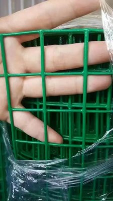 pvc coated welded wire mesh for sale