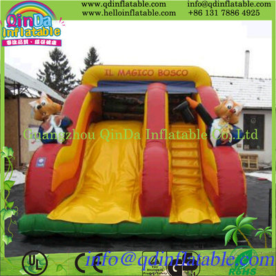 High Quality Small Indoor/Outdoor Inflatable Slide, Cartoon Slide, Commercial Grade