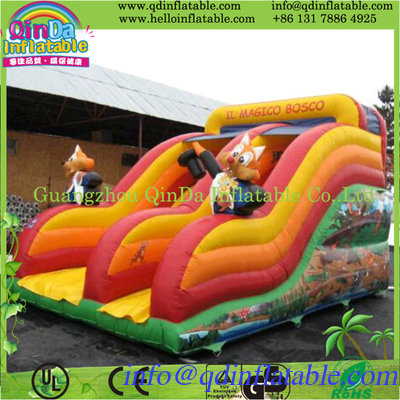 High Quality Small Indoor/Outdoor Inflatable Slide, Cartoon Slide, Commercial Grade