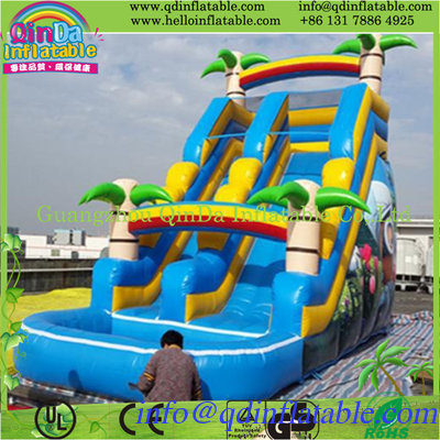 Custom Made Inflatable Slide for Sale