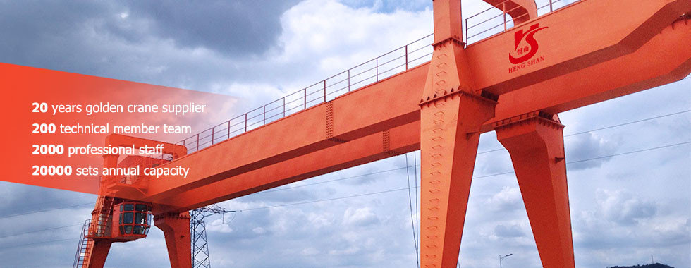 China best Energy From Waste Crane on sales